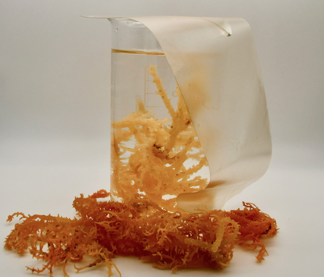 Emballage biodégradable : FlexSea - Vert Savoir