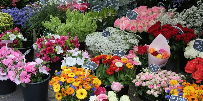 Le chemin des fleurs - fleuriste bio - Vert Savoir